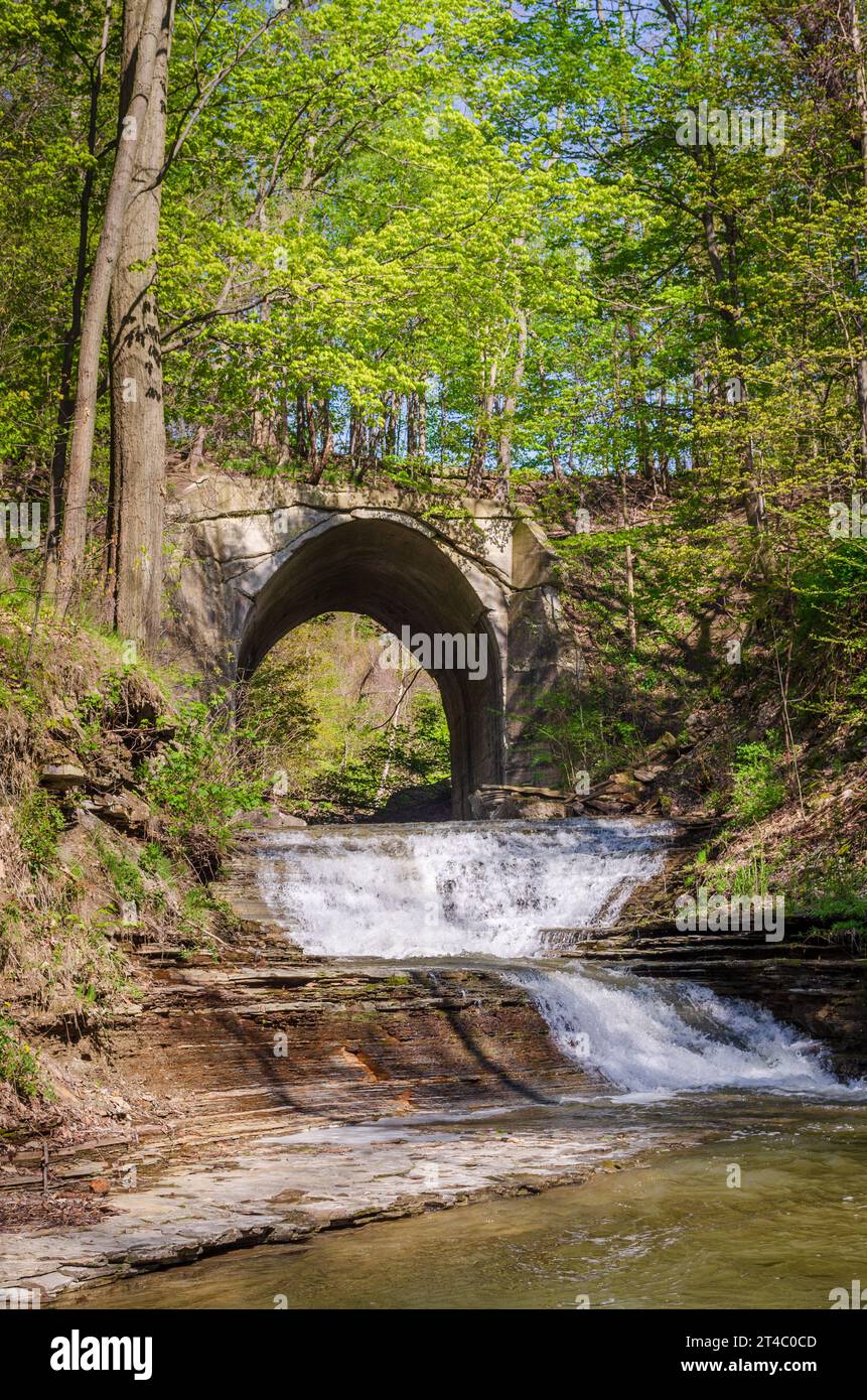 Glen Mill Falls, Scenic Waterfall in New York Stock Photo - Alamy