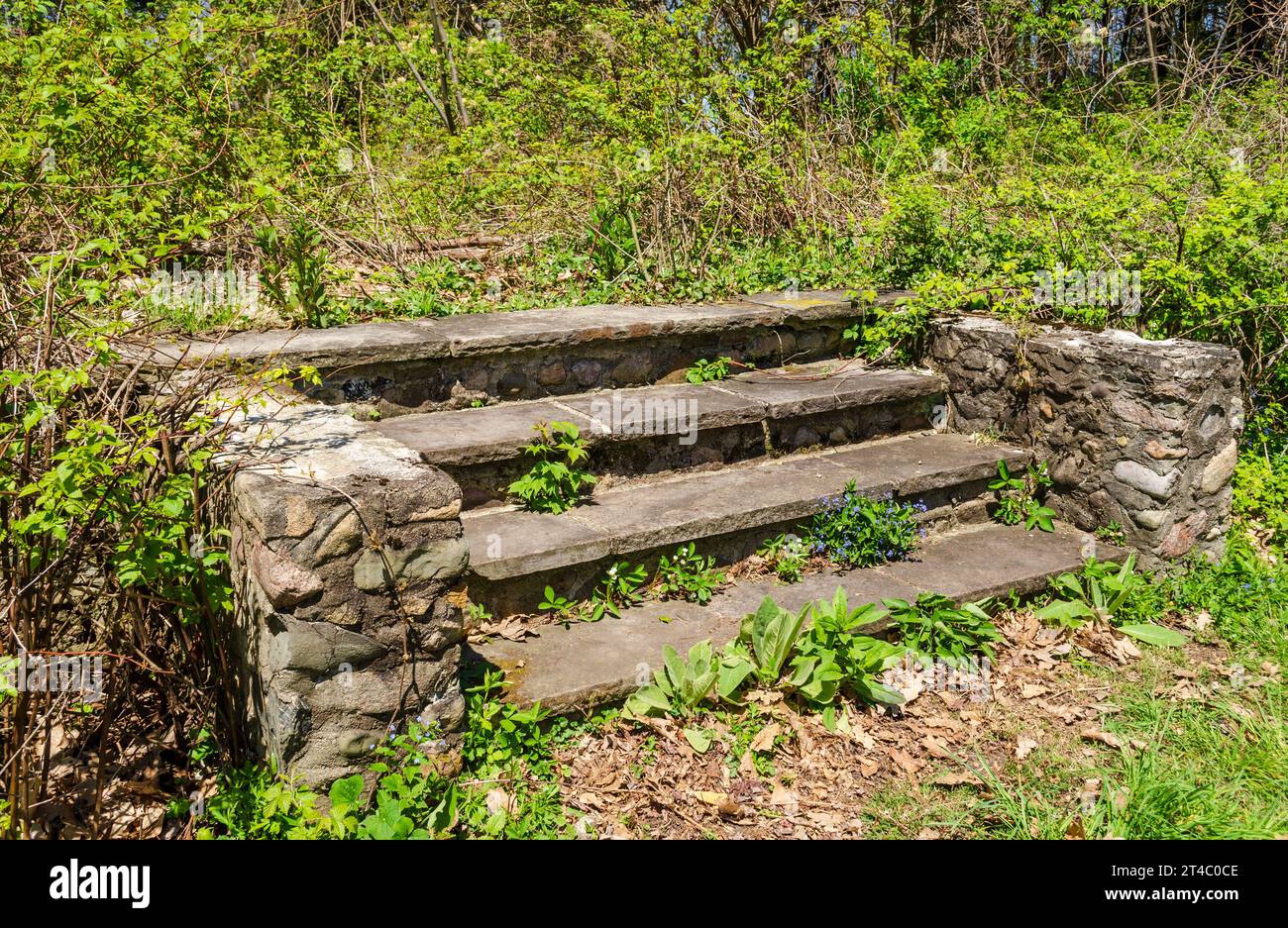 A Hiking Trail at Long Point State Park in New York State Stock Photo ...