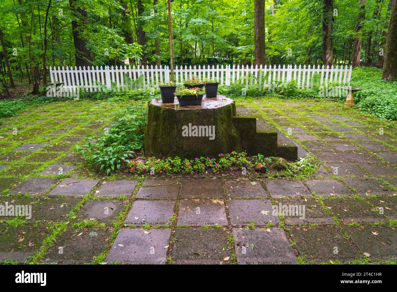 The Lily Dale Assembly in New York State Stock Photo - Alamy