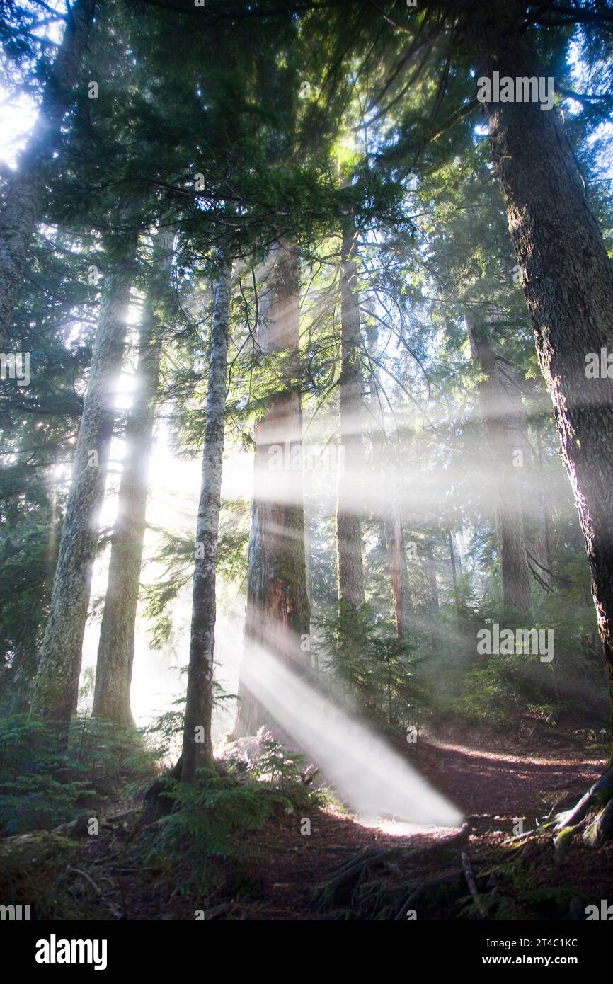 Mt. Pilchuck, Cascade Mountains, USA Stock Photo - Alamy