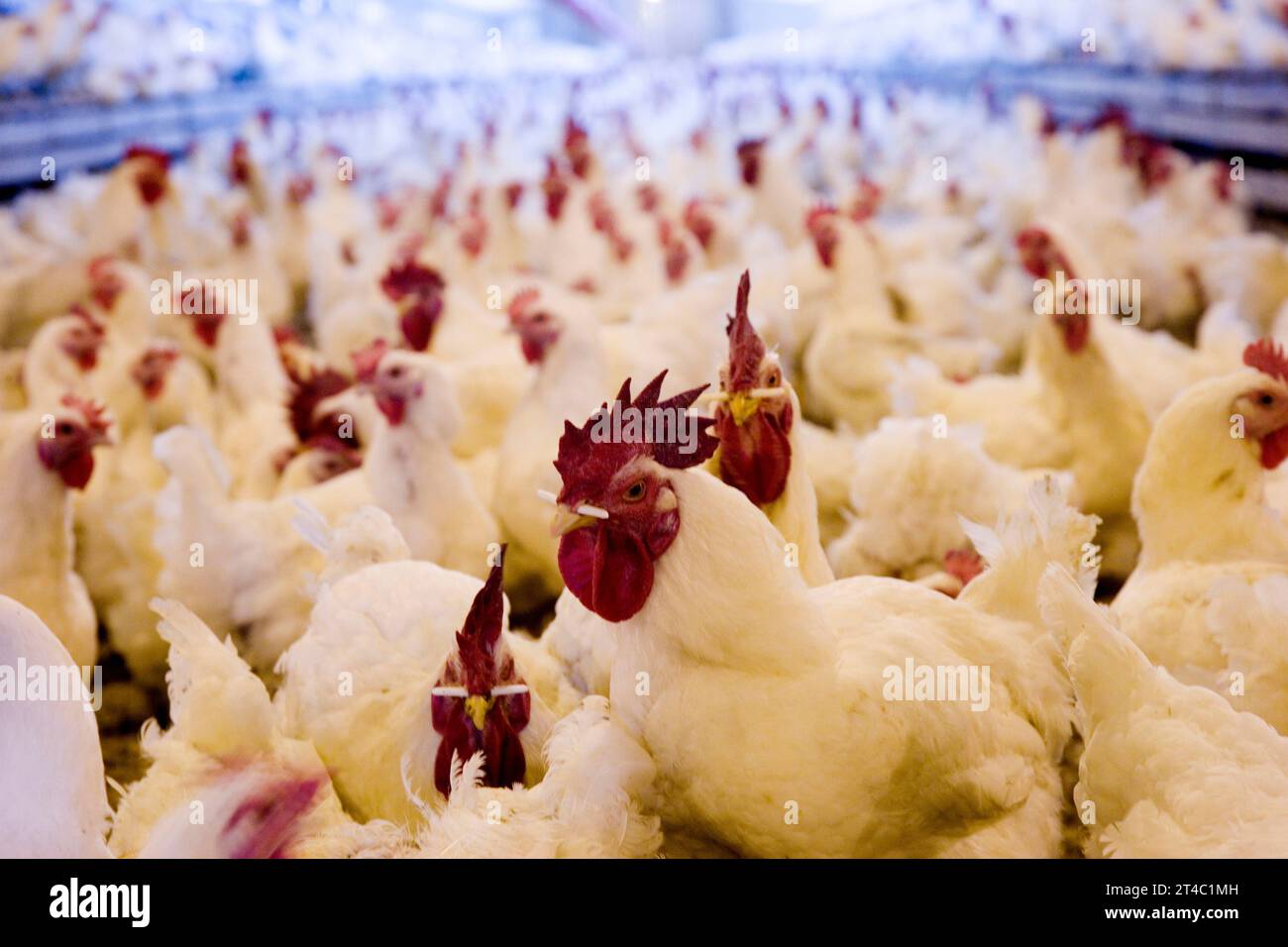 Scale of operation hi-res stock photography and images - Alamy