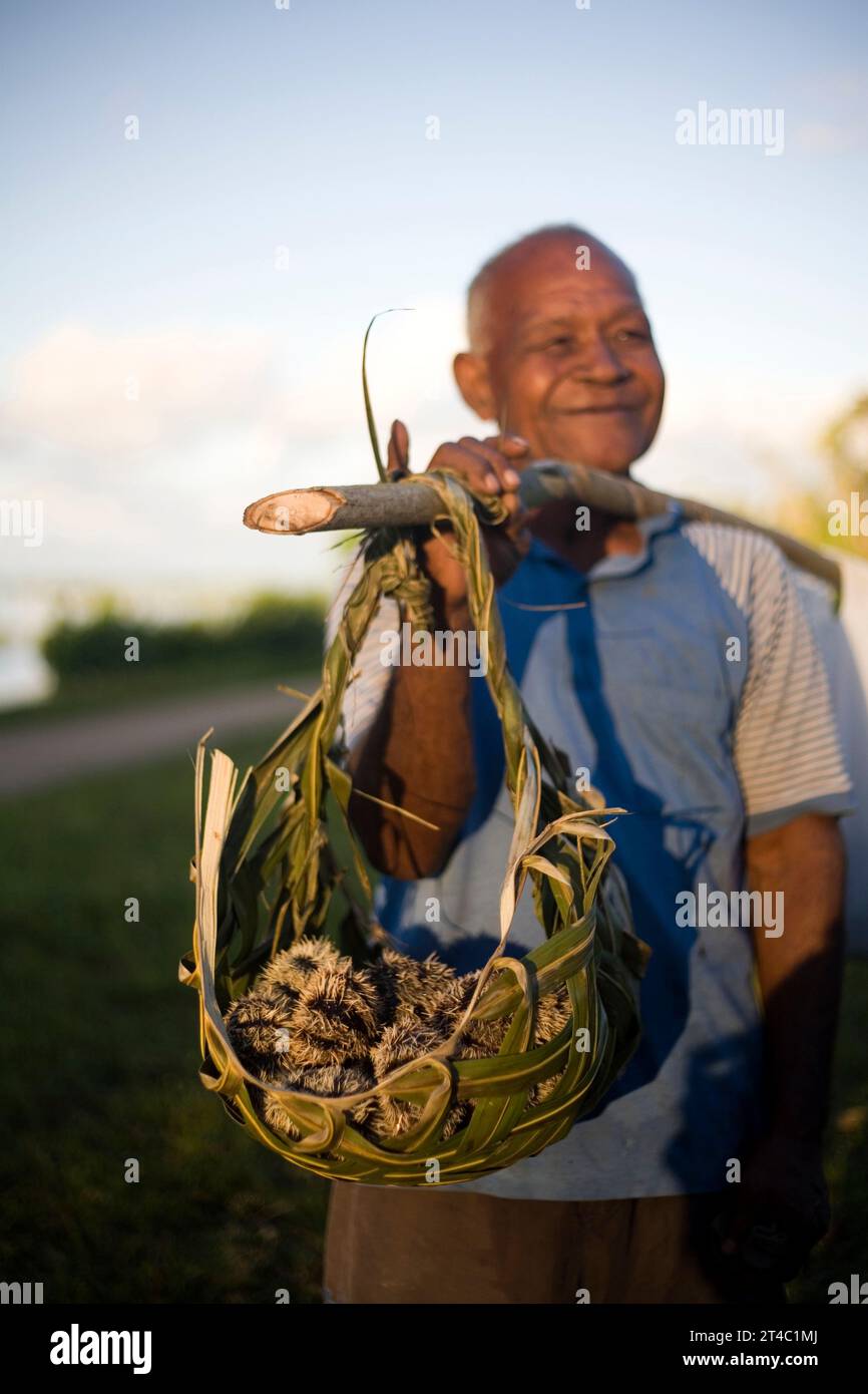 An elderly gentleman holds his catch of sea urchins before walking back ... An elderly gentleman holds his catch of sea urchins before walking back ...