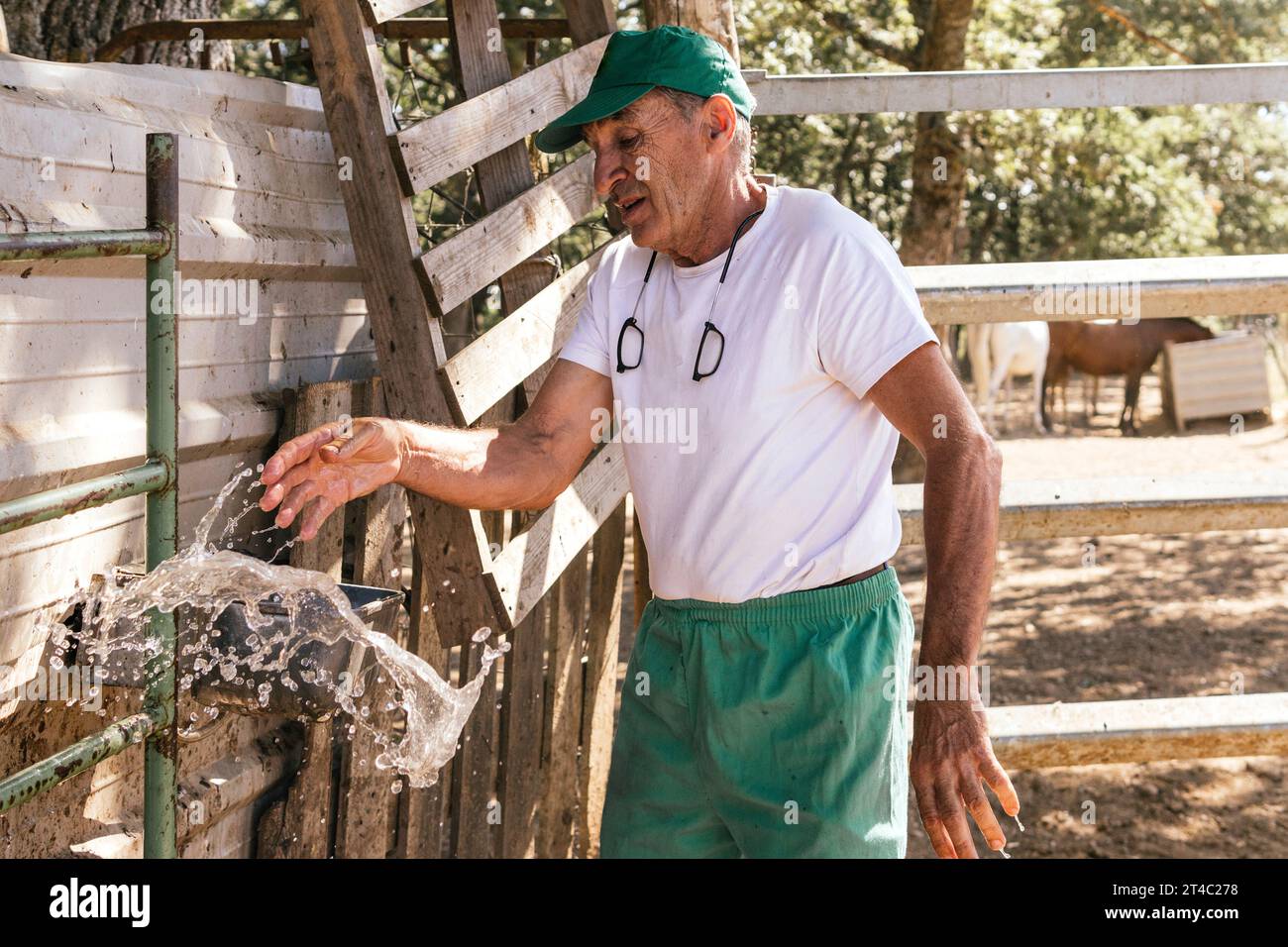 Washing hands animals hi-res stock photography and images - Alamy