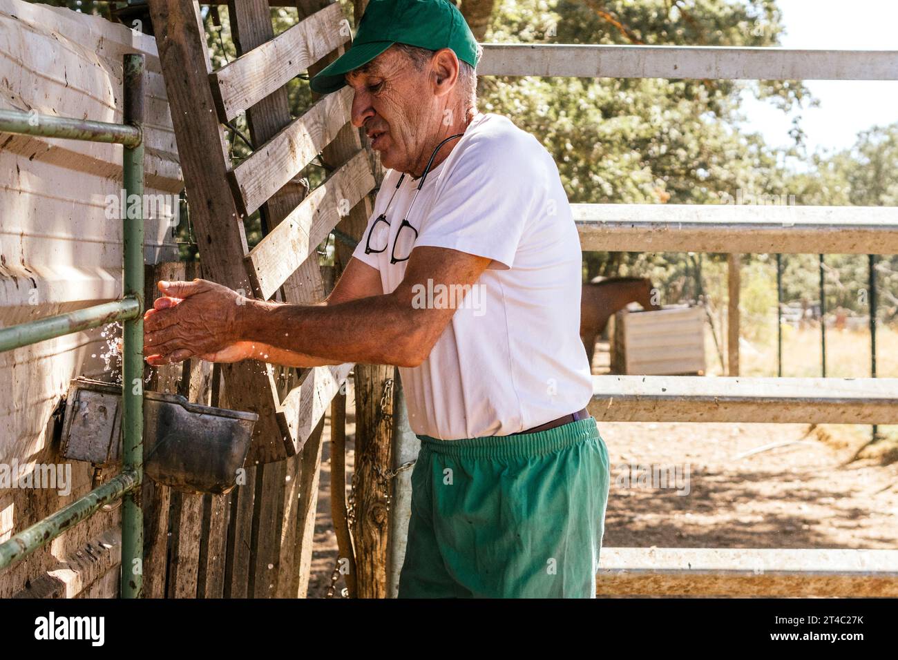 Washing hands animals hi-res stock photography and images - Alamy