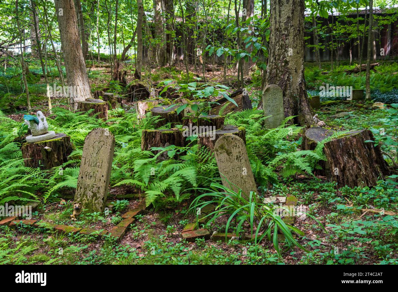 Lily dale architecture hi-res stock photography and images - Alamy