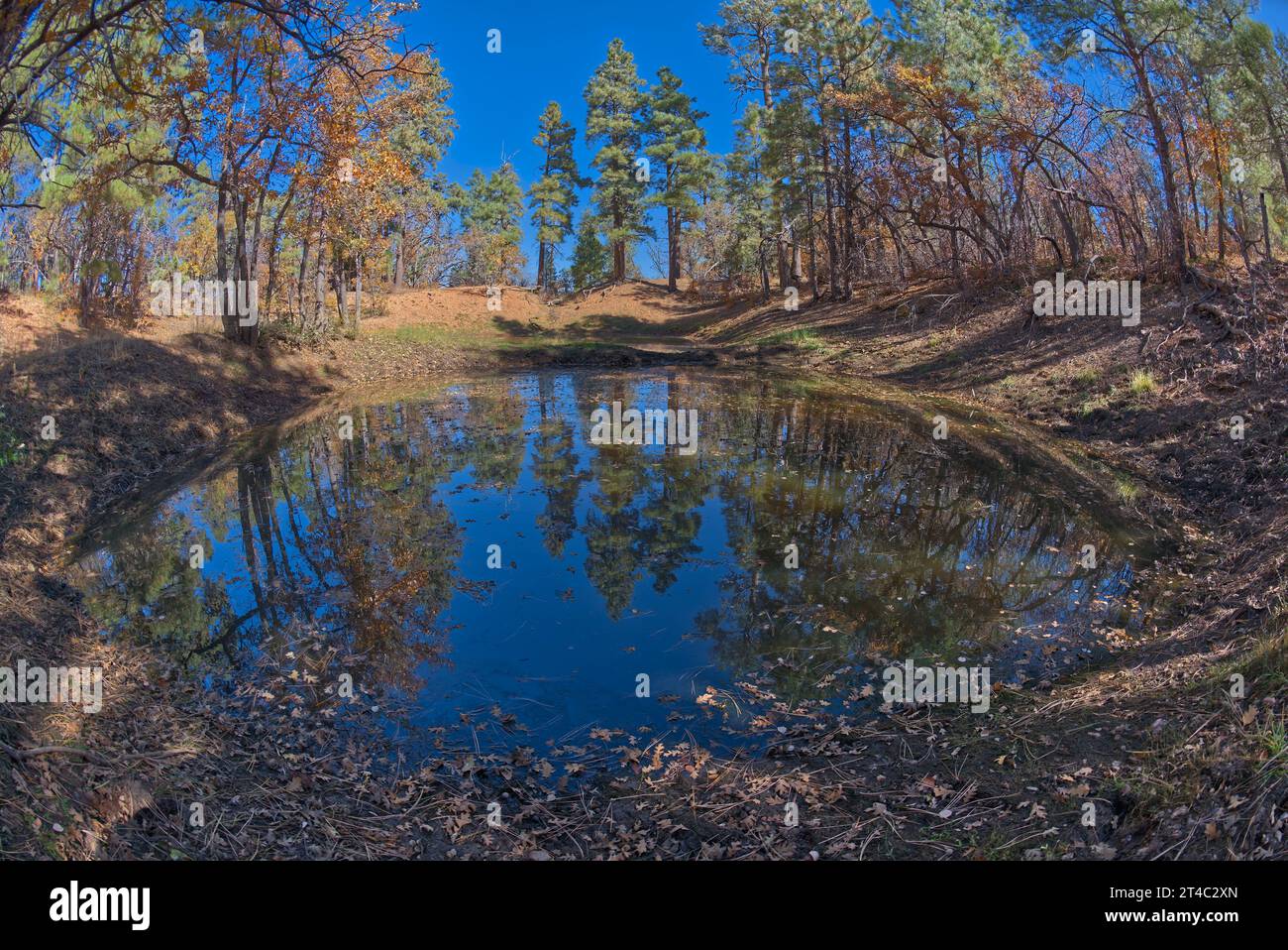 Hearst tanks hi-res stock photography and images - Alamy