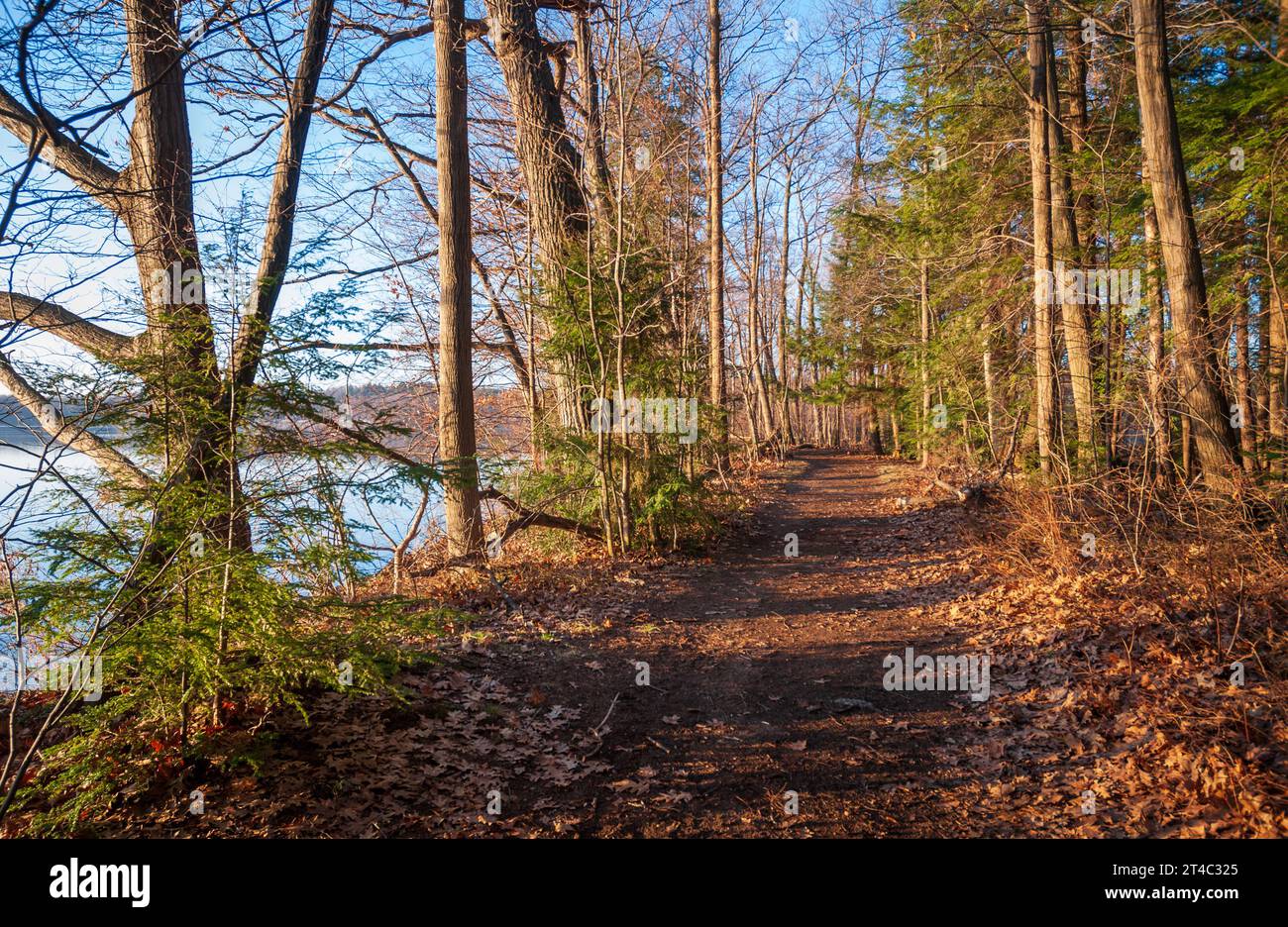 A Hiking Trail at Long Point State Park in New York State Stock Photo ...