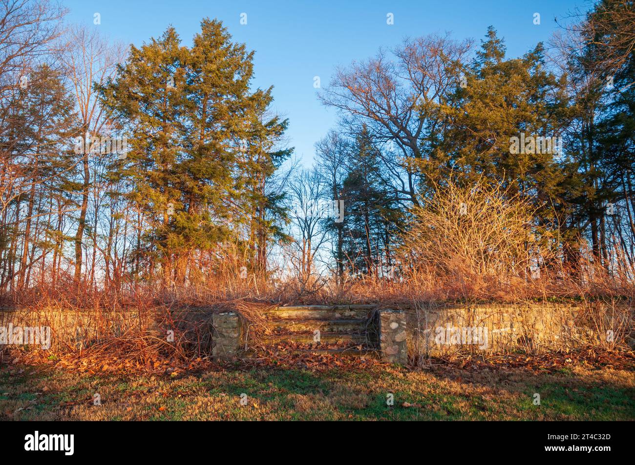 Long Point State Park in New York State Stock Photo - Alamy