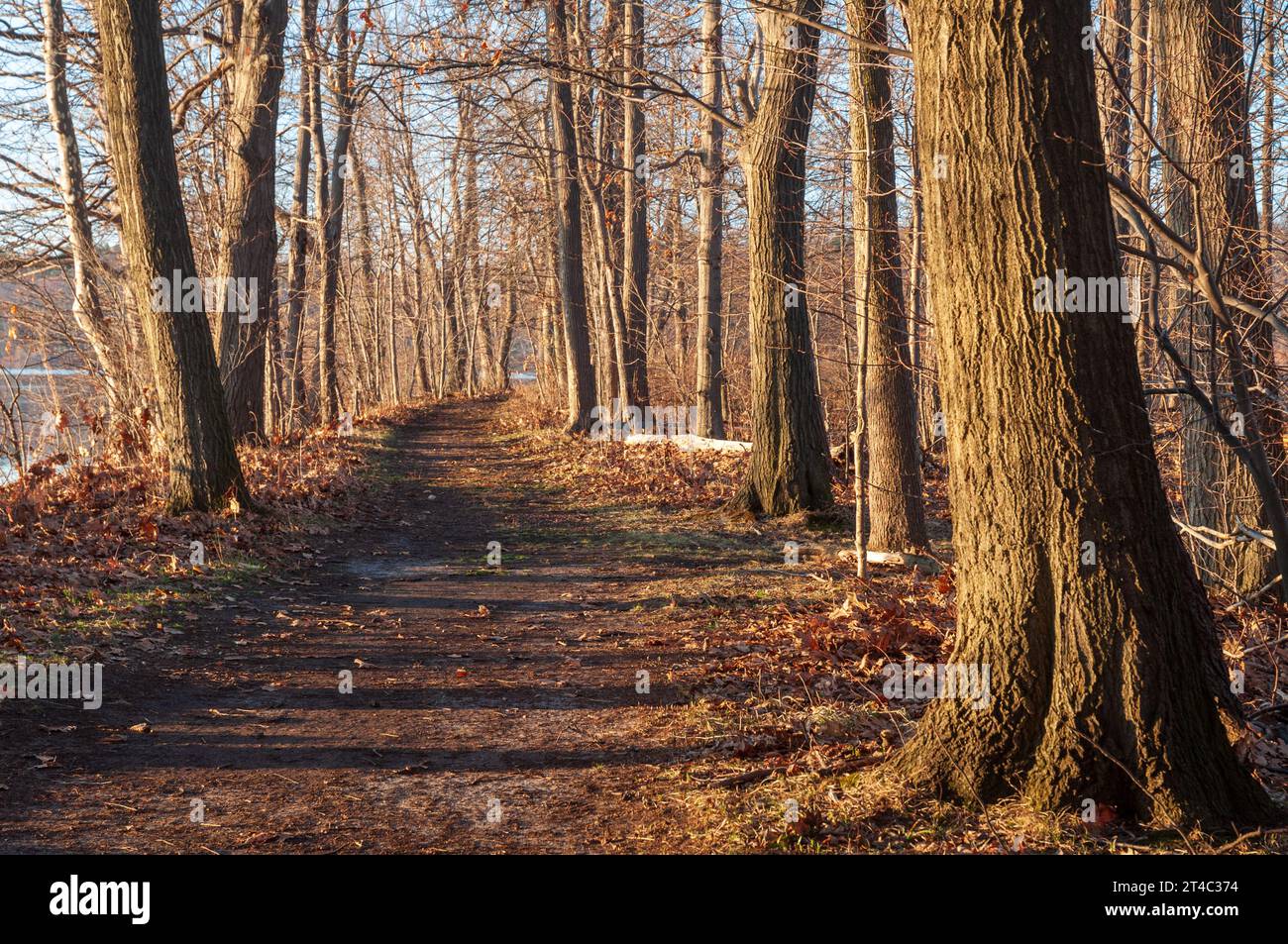A Hiking Trail at Long Point State Park in New York State Stock Photo ...