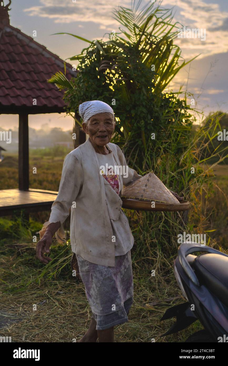 An old Balinese woman returns from a rice field after work Stock Photo ...