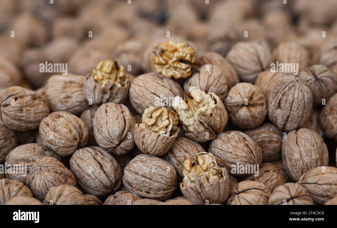 Walnut harvest turkey hi-res stock photography and images - Alamy