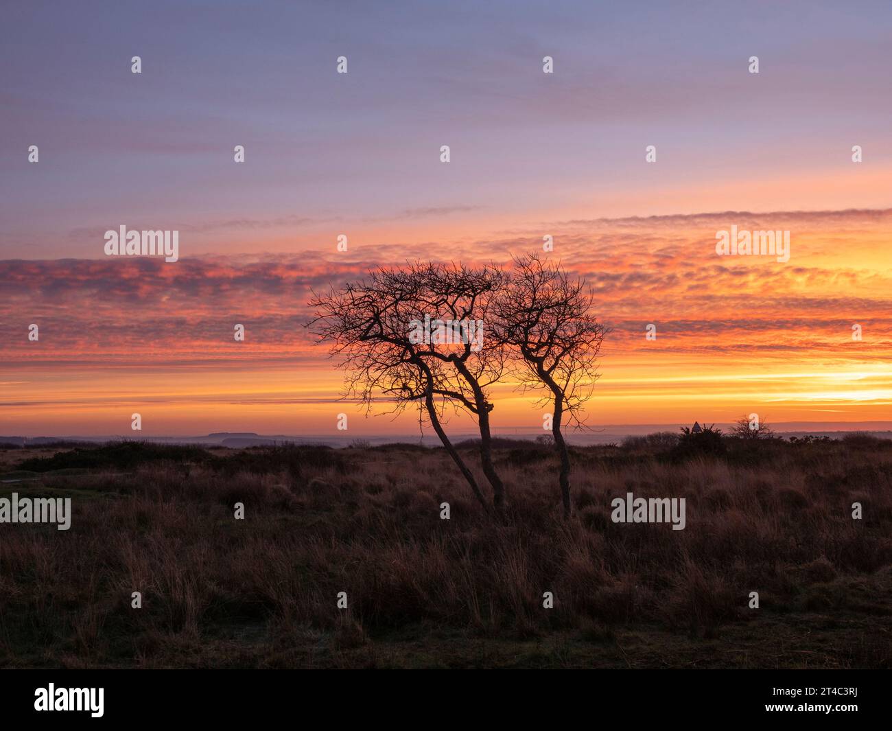Silhouetted scene against colourful sunset hi-res stock photography and ...