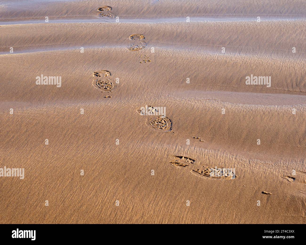 Approaching trainer footprints in the sand Stock Photo - Alamy