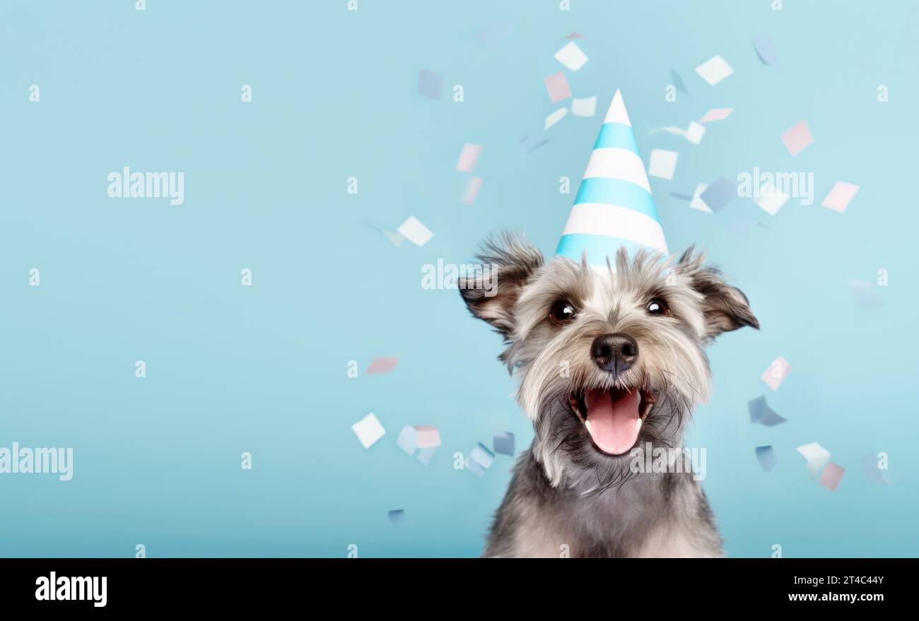 Cute happy dog celebrating at a birthday party, wearing a party hat ...