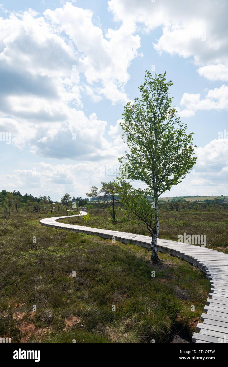 Black moor with a new wooden path in the Rhoen, Bavaria, Germany Stock ...