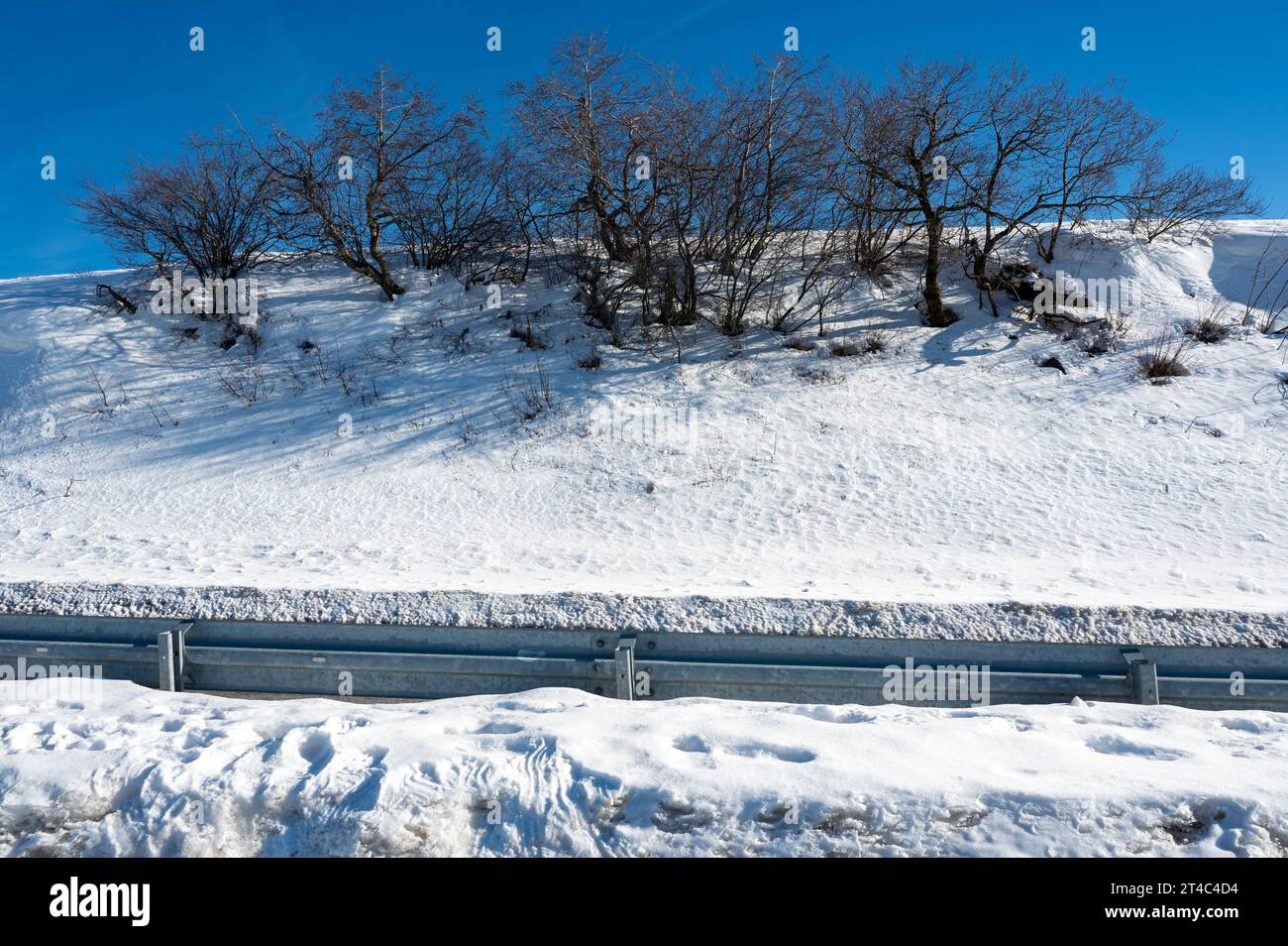 Winter landscape with trees, road , lots of snow and blue sky in the ...