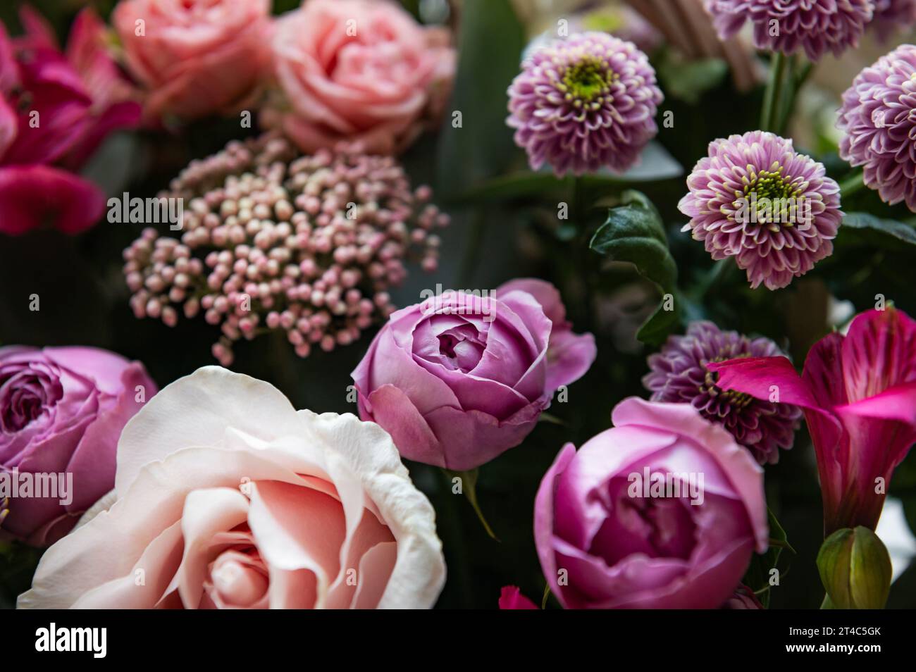 Roses and gypsophila bunch of flowers Stock Photo - Alamy