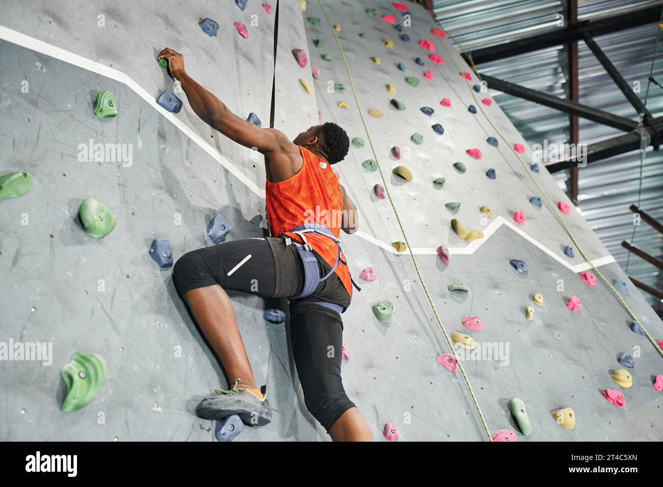 muscular african american man with alpine harness and safety rope climbing up bouldering wall ...