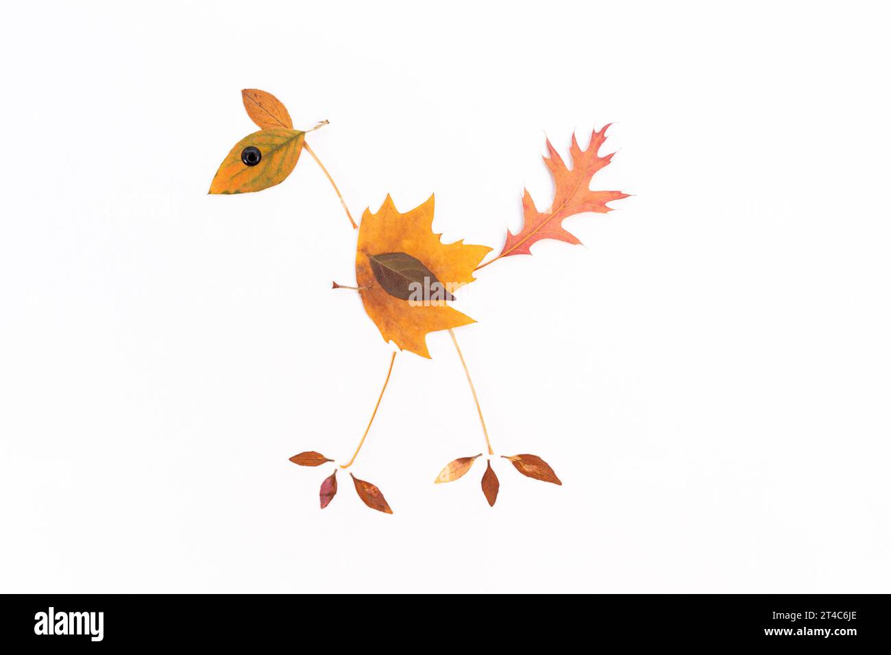 easy nature craft for kids, turtle made from leaves, ideas for autumn ...