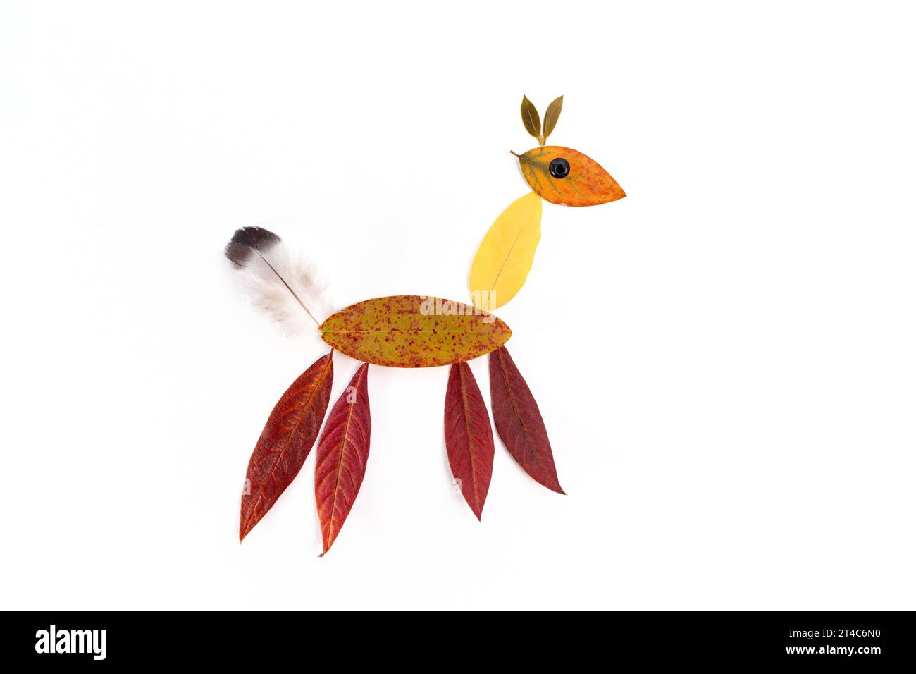 easy nature craft for kids, turtle made from leaves, ideas for autumn ...