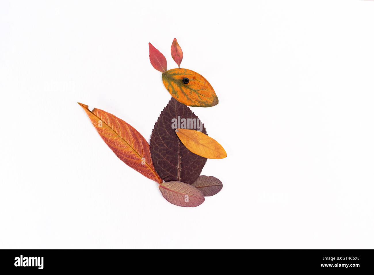 easy nature craft for kids, turtle made from leaves, ideas for autumn ...