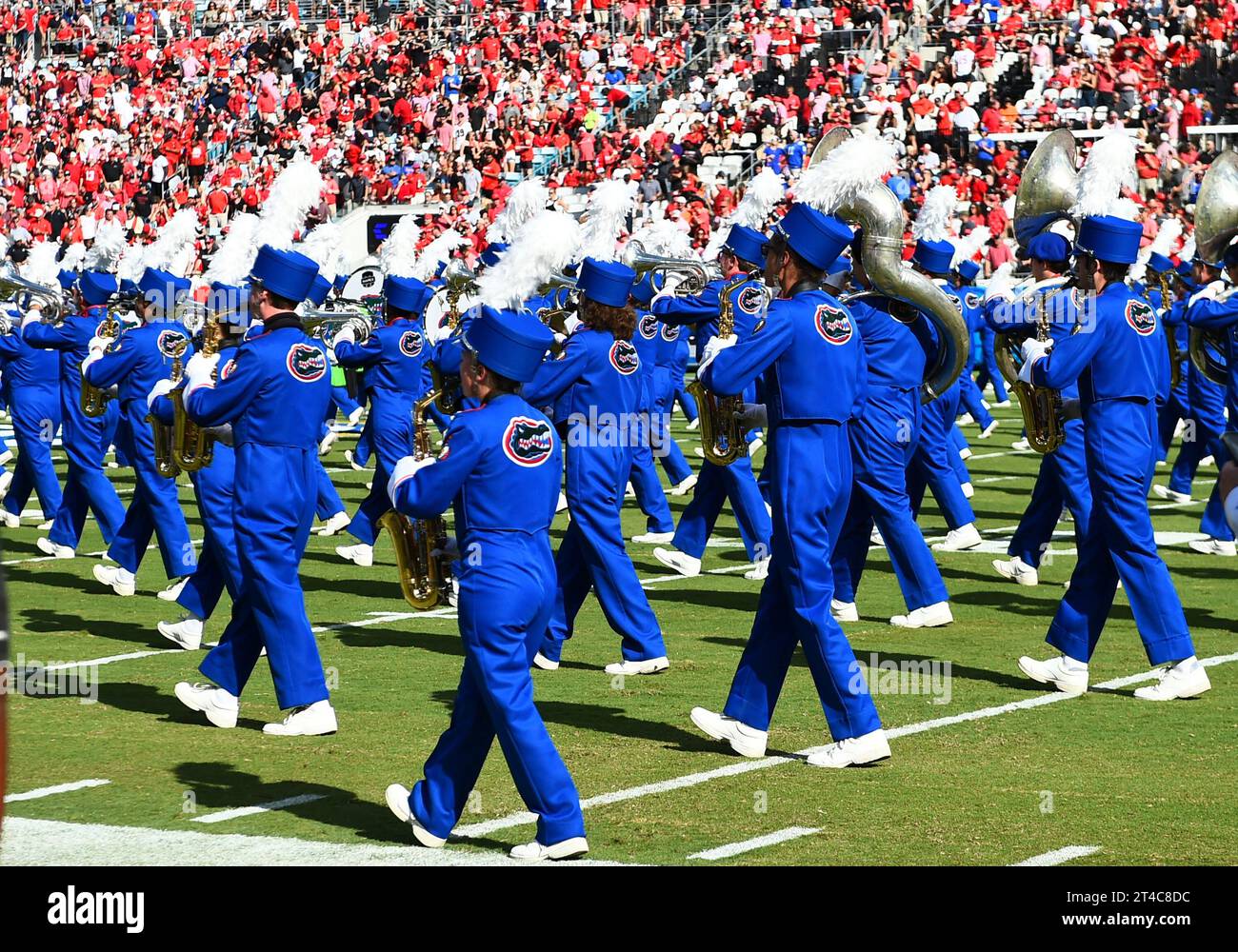 JACKSONVILLE, FL - OCTOBER 28: The University of Florida Gator Marching ...