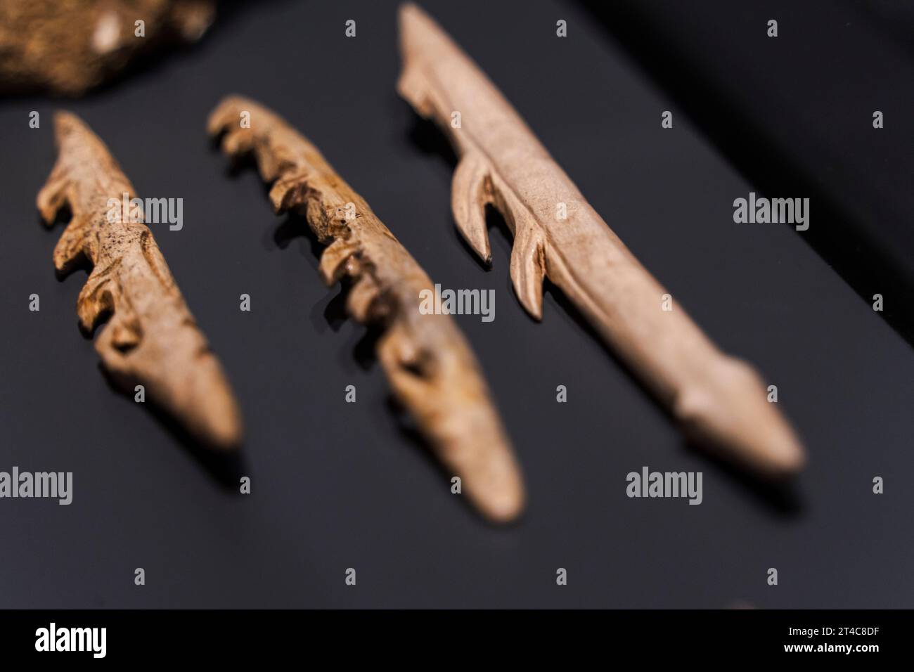 single-row bone harpoons,magdalenian period, Museum of prehistory and ...