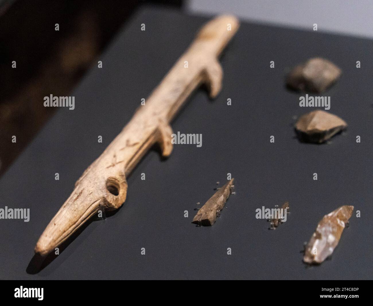 bone harpoon with double row of teeth, Cantabrian type decorated and with perforation at the ...