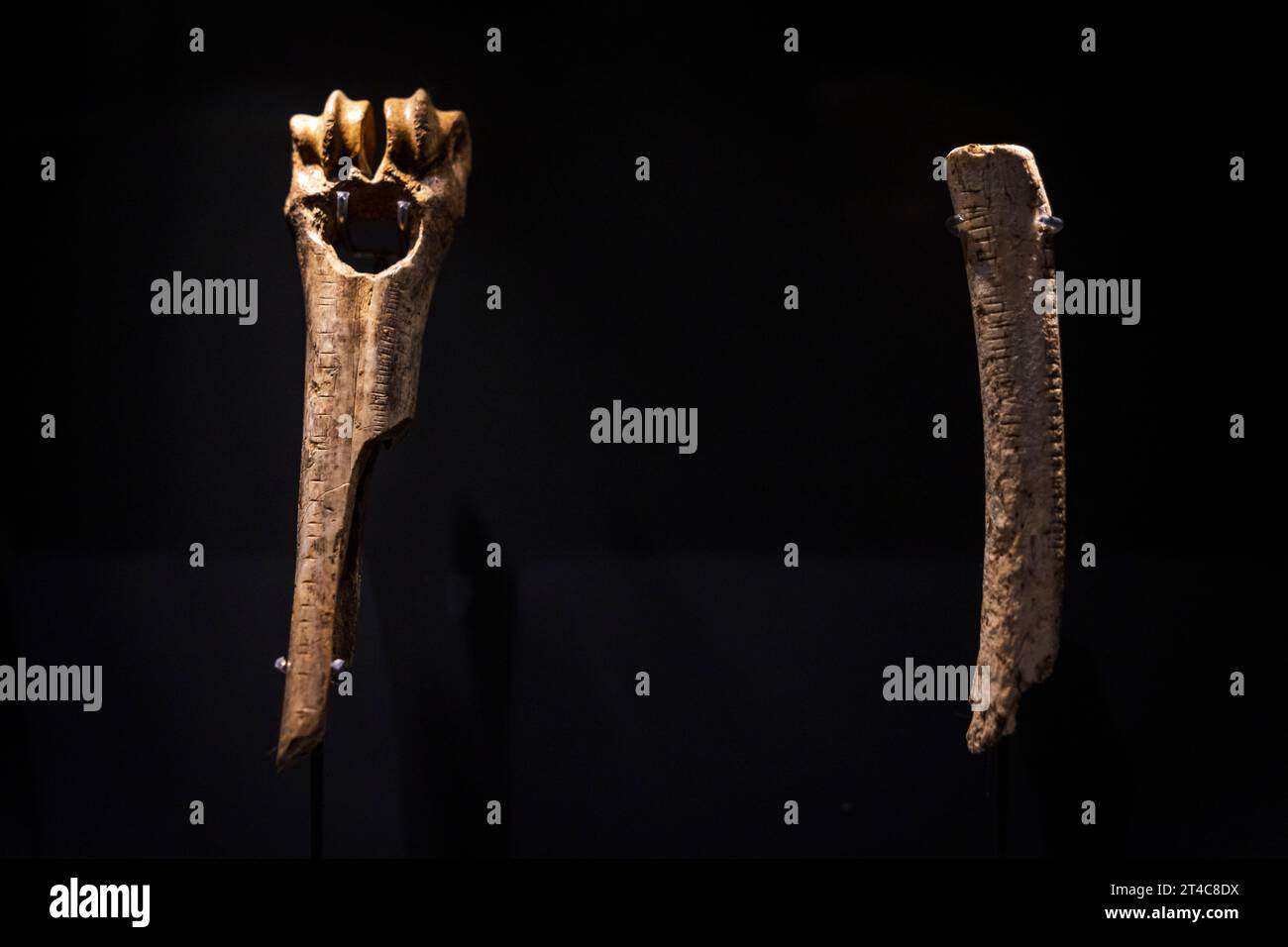 perforated and decorated goat metacarpus and engraved rib, paleolithic ...