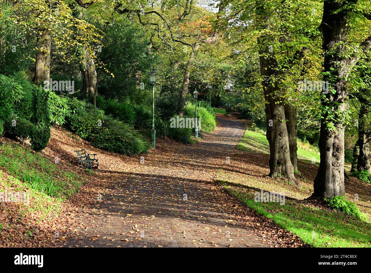 Around the UK - Colours of Autumn, Avenham Park, Preston, UK Stock ...