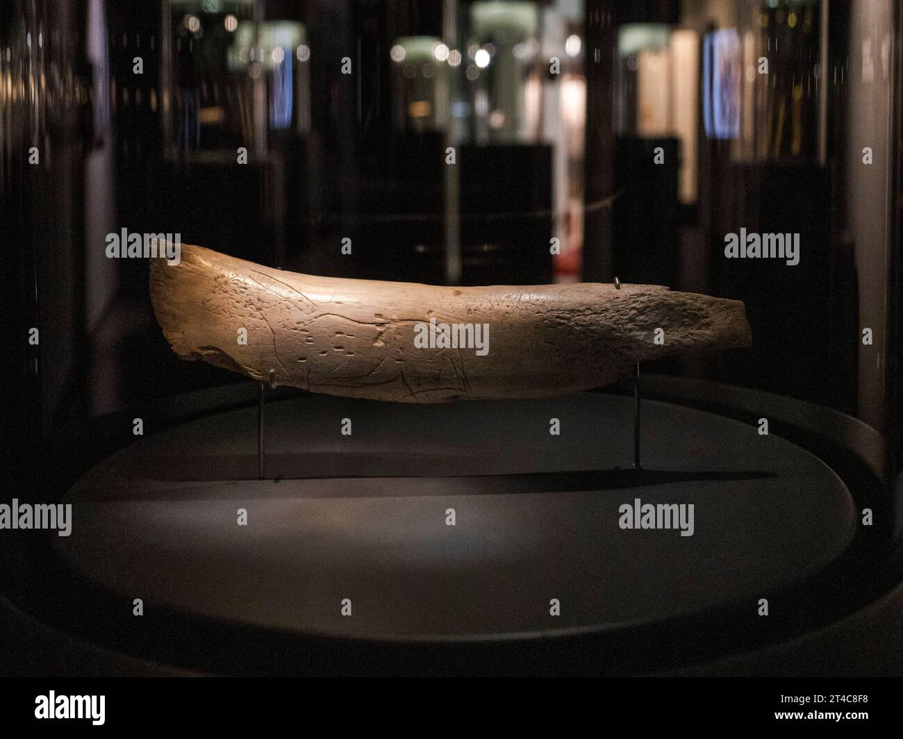 bone compressor engraved with horse, upper Magdalenian, San Pantaleón ...