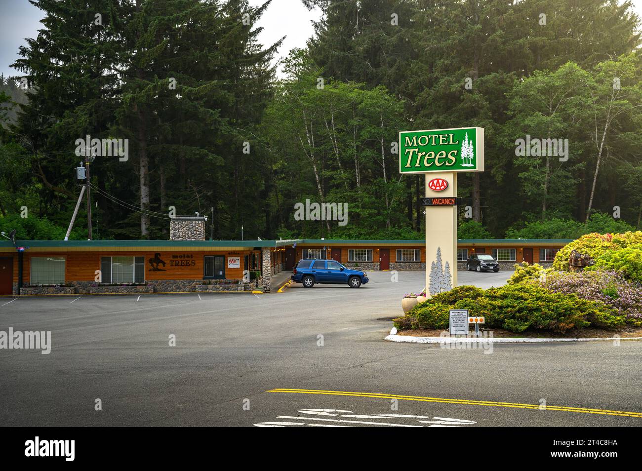Motel Trees in Klamath, California, enveloped by forest of Redwood ...