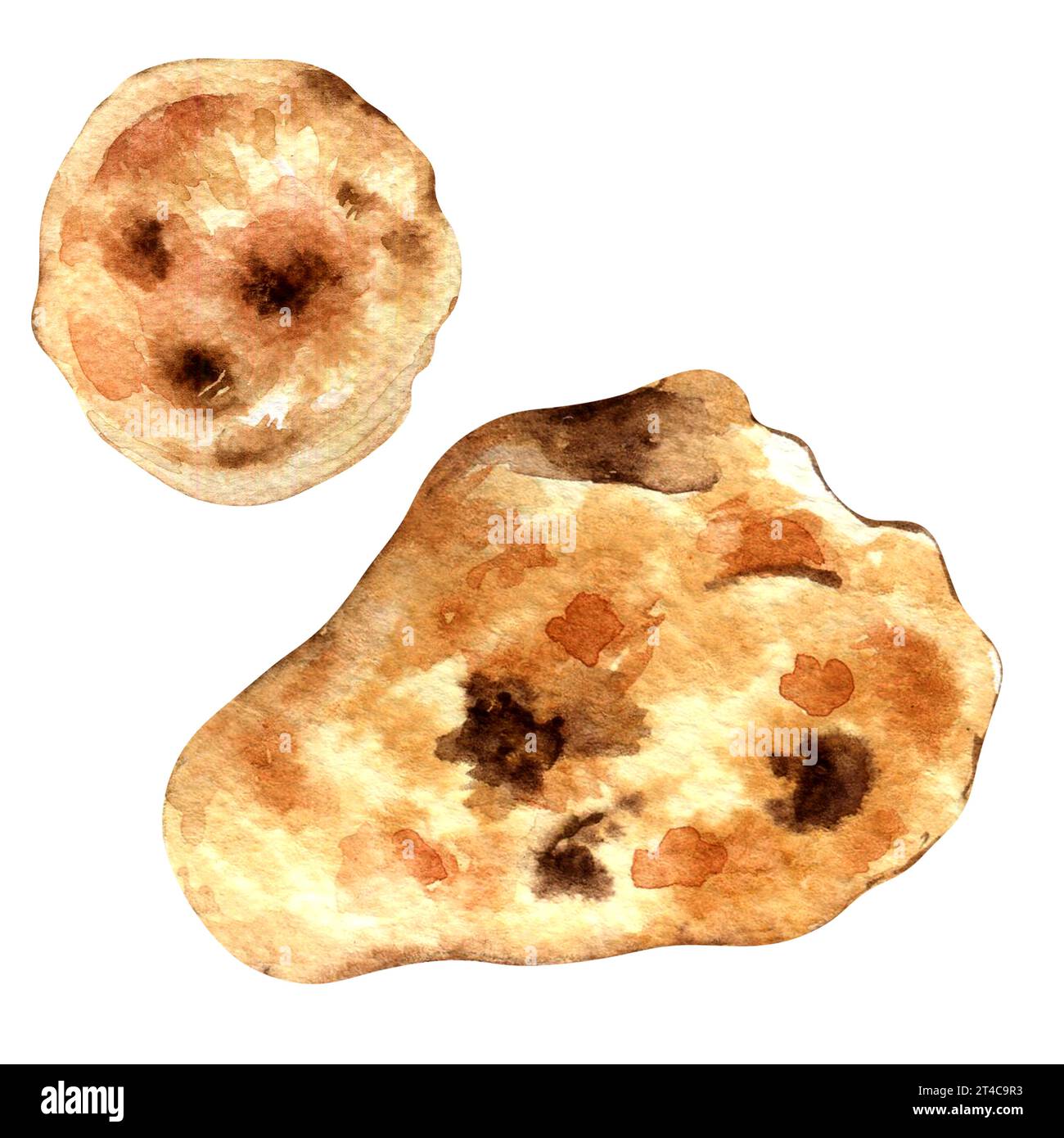 Indian flat bread naan watercolor illustration isolated on white ...