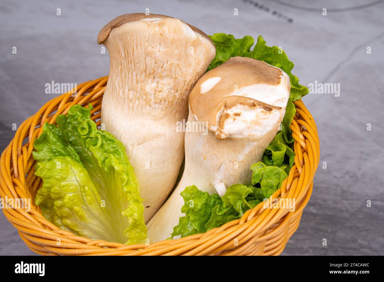 King Oyster Mushroom （King Trumpet Mushroom） for hot pot,yakiniku ...