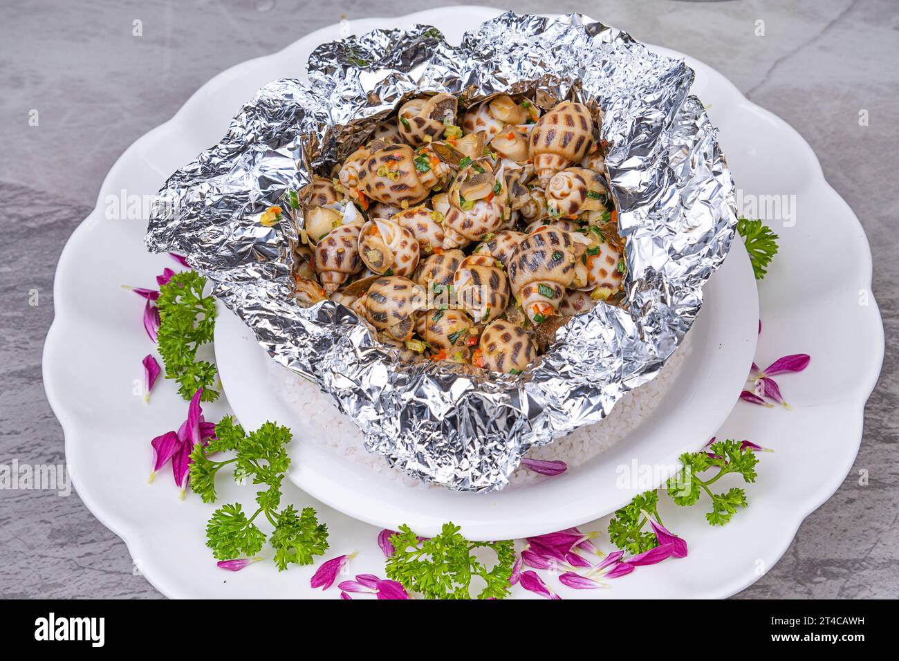 Babylonia whelks hi-res stock photography and images - Alamy