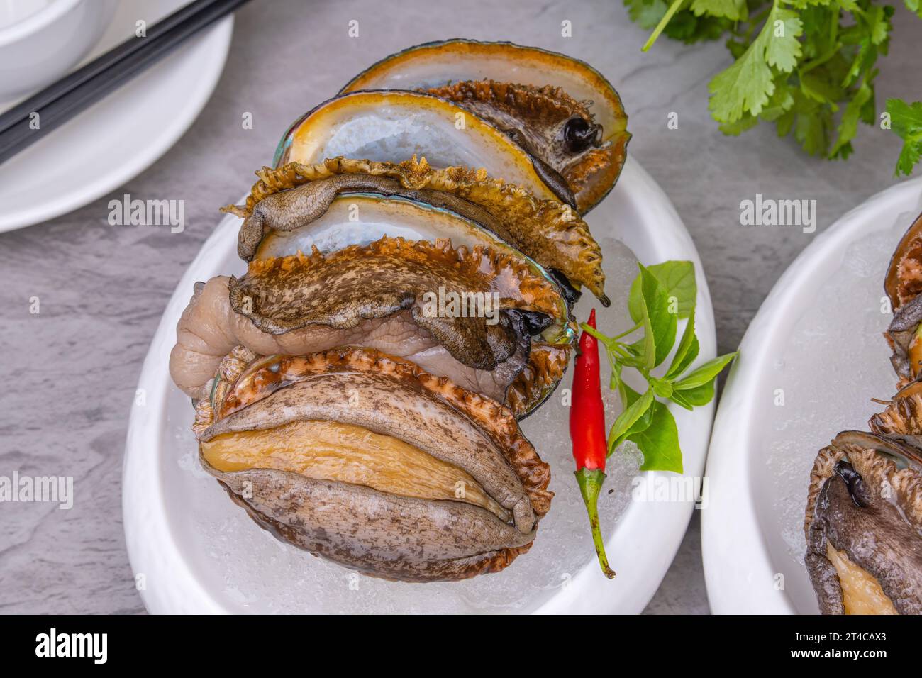 live abalone for hot pot,yakiniku, sukiyaki and shabu used Stock Photo ...
