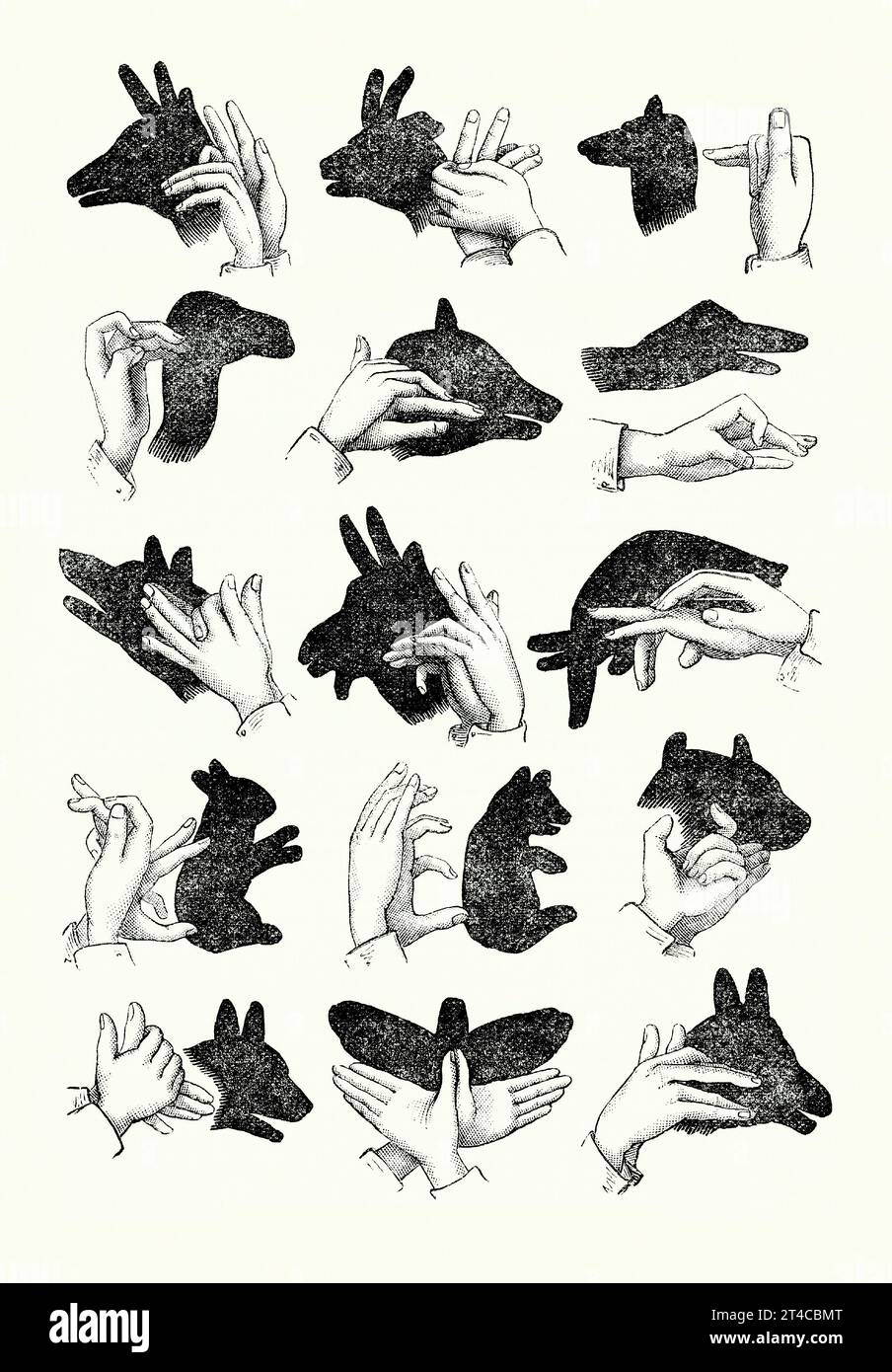 An old engraving of creating shadows of various animals using only two ...