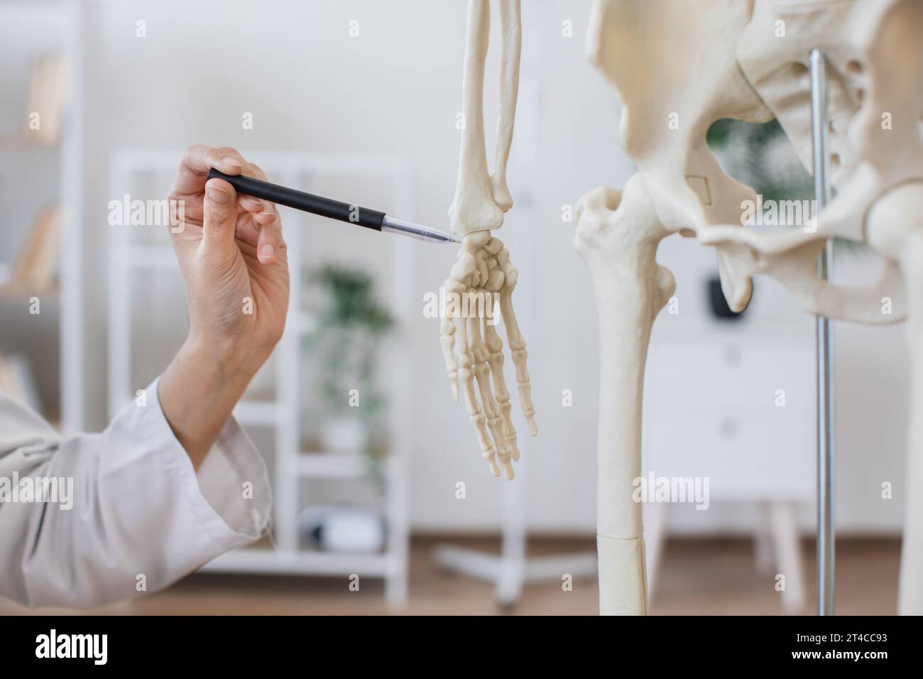 Physician pointing to bone on wrist of plastic skeleton Stock Photo - Alamy