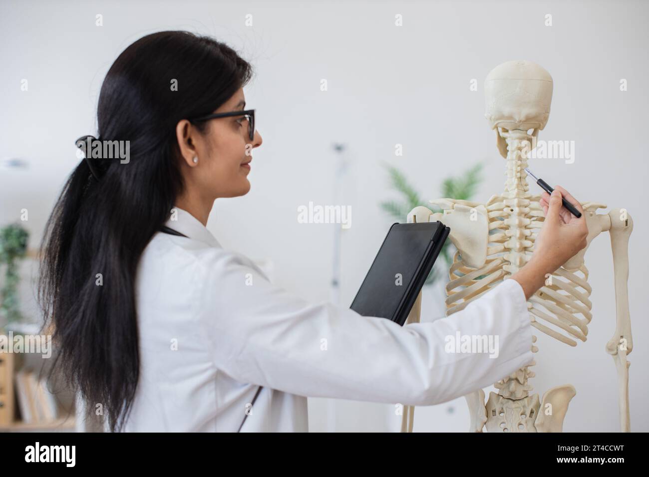 Medical worker with tablet examining spine on skeleton model Stock ...