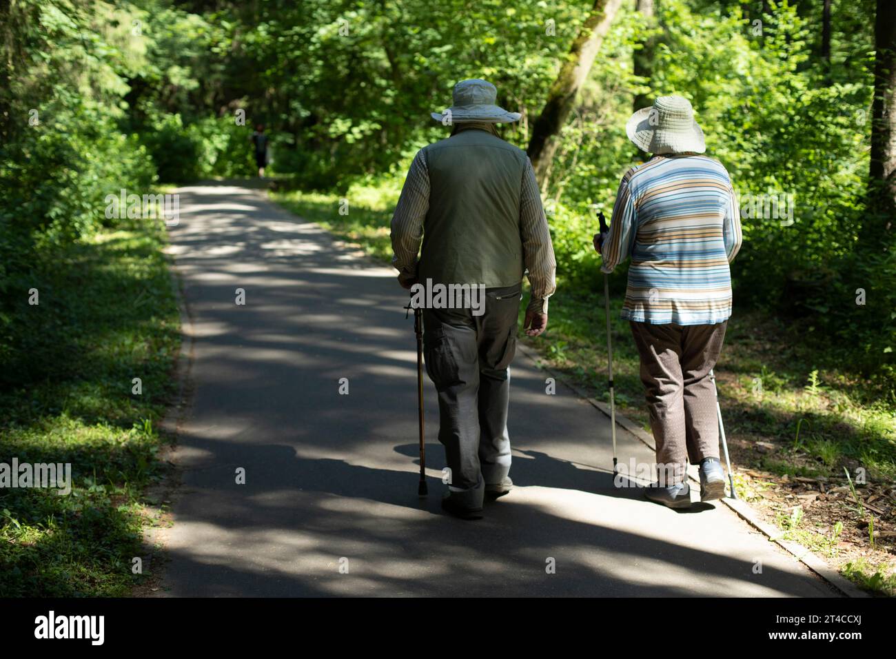 Pensioners with sticks in park in summer. Useful walking for elderly ...
