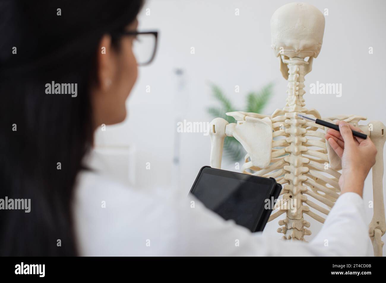 Doctor holding tablet while touching backbone of body model Stock Photo ...