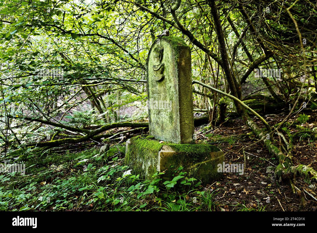 Knippwiese hi-res stock photography and images - Alamy