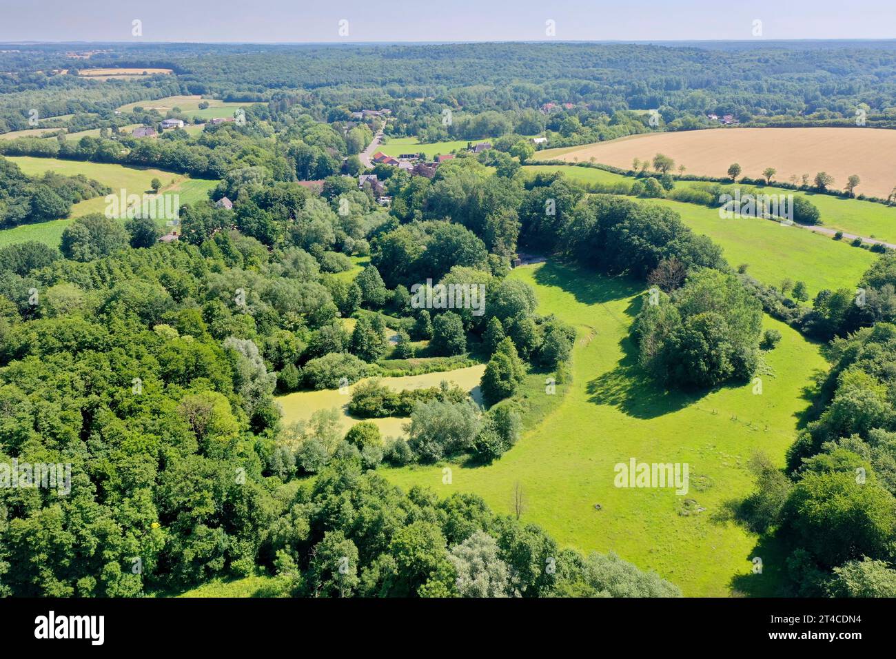 forest and meadow landscape from the air, Germany, Schleswig-Holstein ...