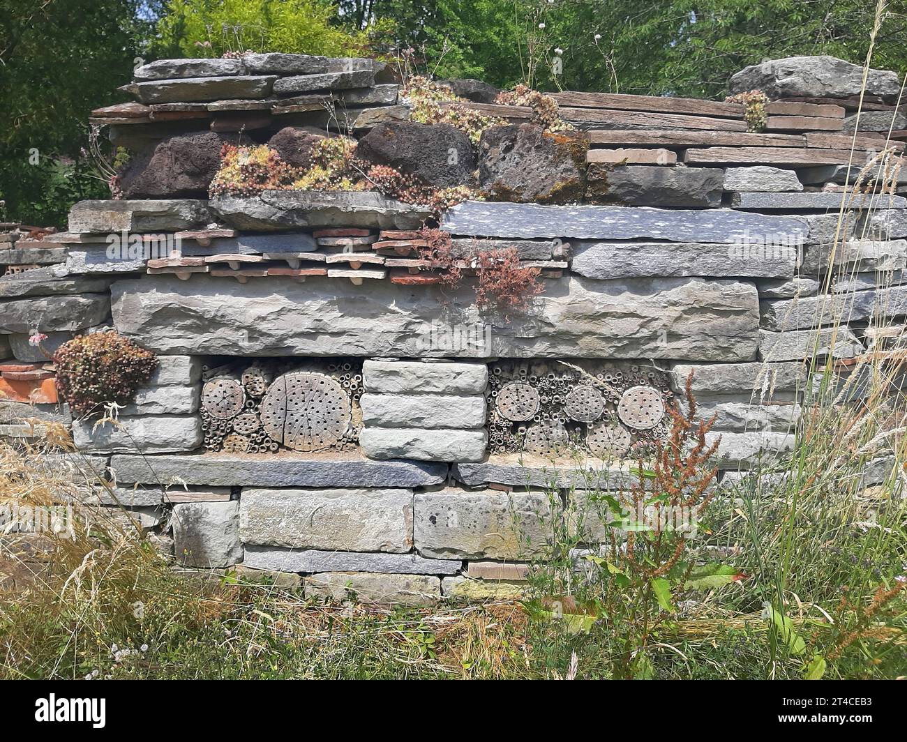 dry stone wall with wooden insect nesting aids , Germany Stock Photo ...
