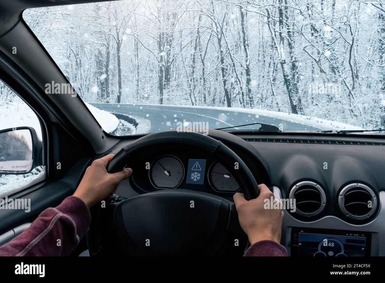 Driving car in forest view hi-res stock photography and images - Alamy
