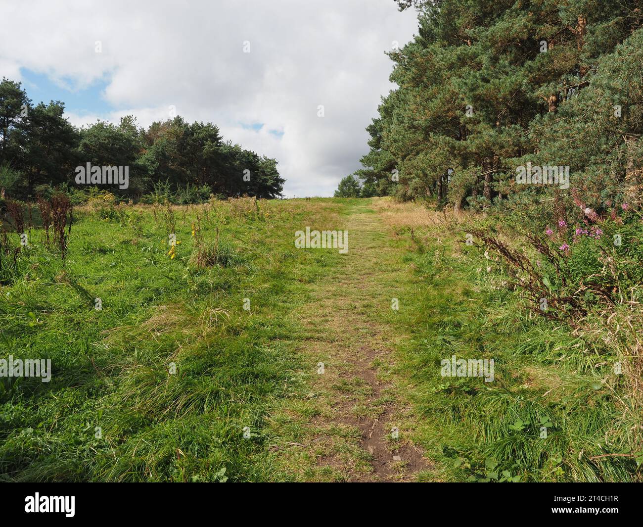 Dundee law view hi-res stock photography and images - Alamy