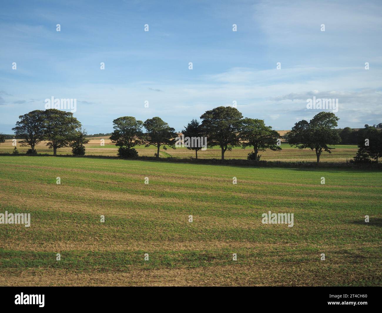 Scottish Lowlands panorama between Dundee and Aberdeen Stock Photo - Alamy