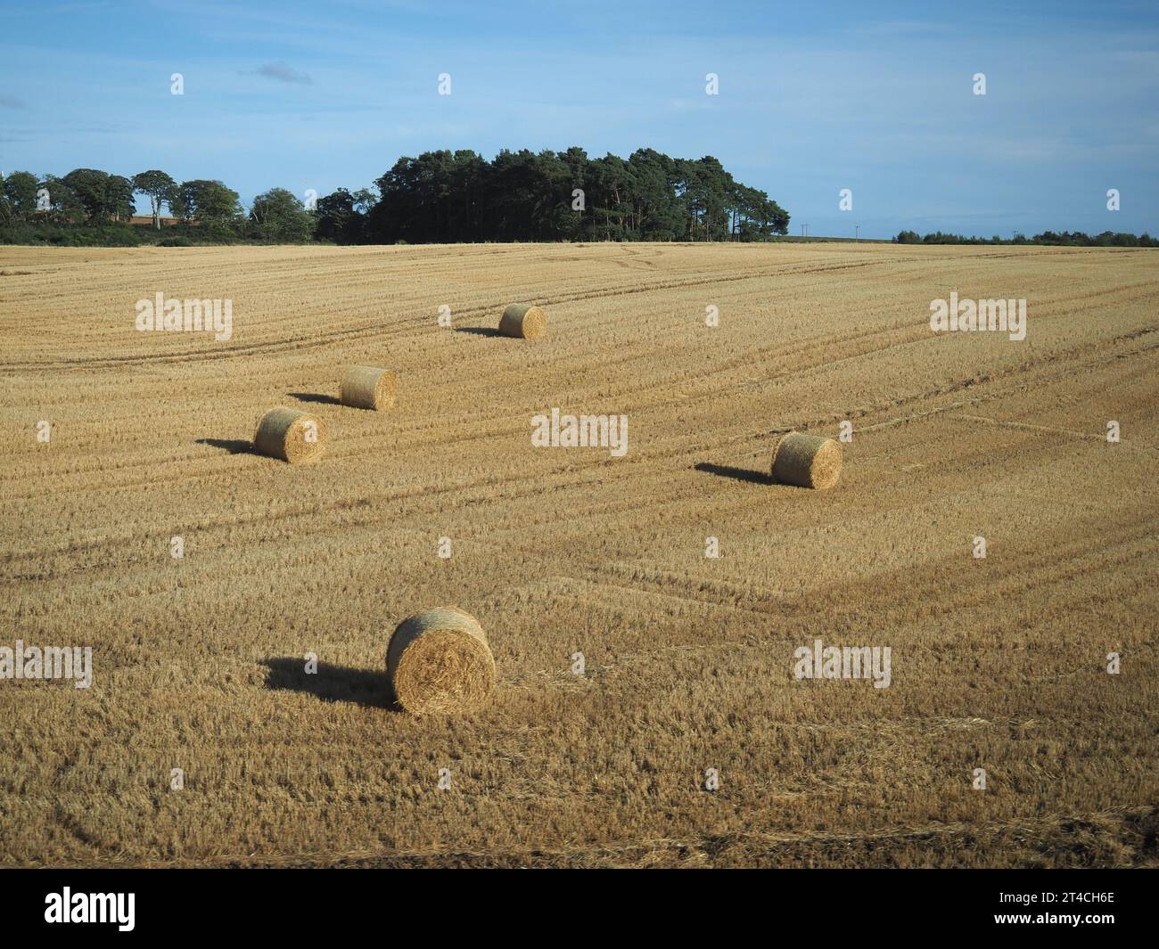 Scottish Lowlands panorama between Dundee and Aberdeen Stock Photo - Alamy