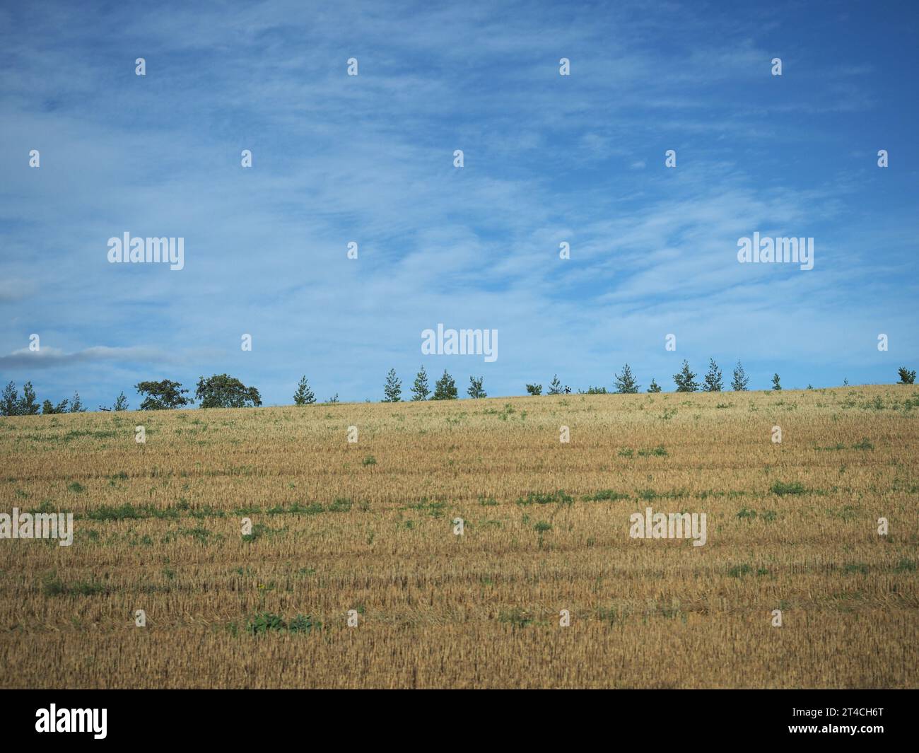 Scottish Lowlands panorama between Dundee and Aberdeen Stock Photo - Alamy