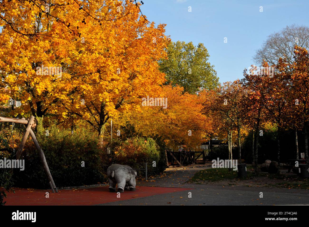 Copenhagen, Denmark /30 October. 2023/.Autumn colour leave and tree in ...